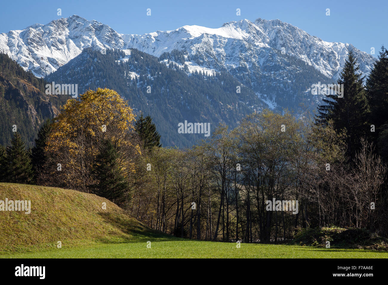Hintersteiner Tal, snowy Allgäu mountains behind, autumn mood in ...