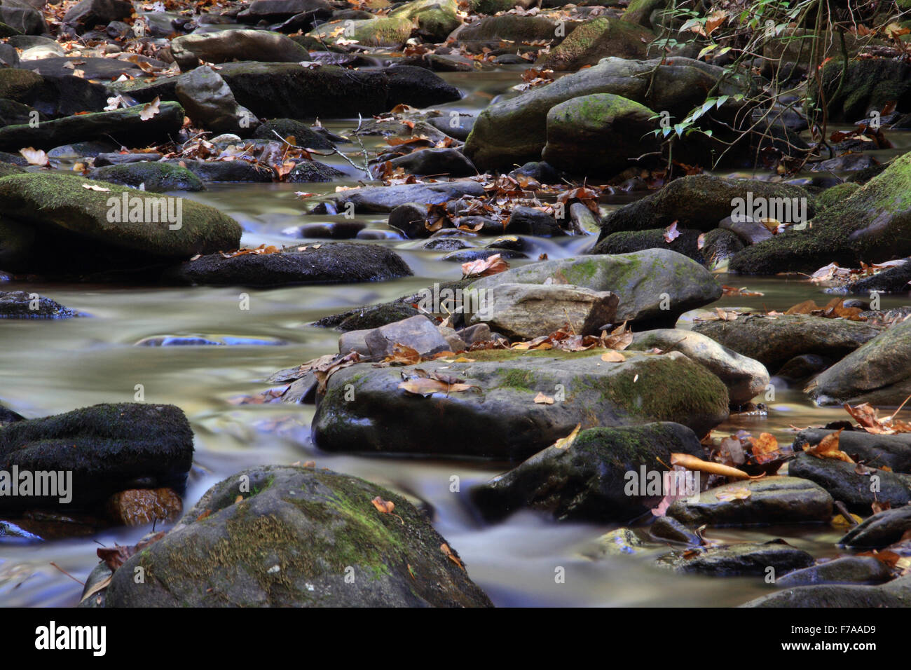 Mountain stream flowing over rocky ground making cascades Stock Photo ...