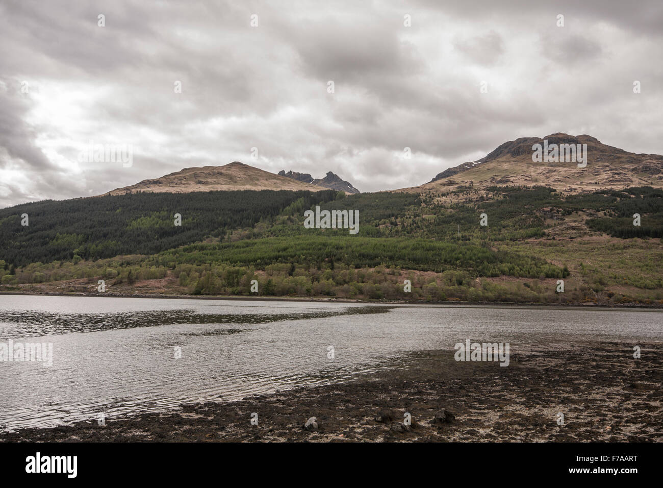 Arrochar Alps in the Scottish Highlands featuring Ben Arther-The ...