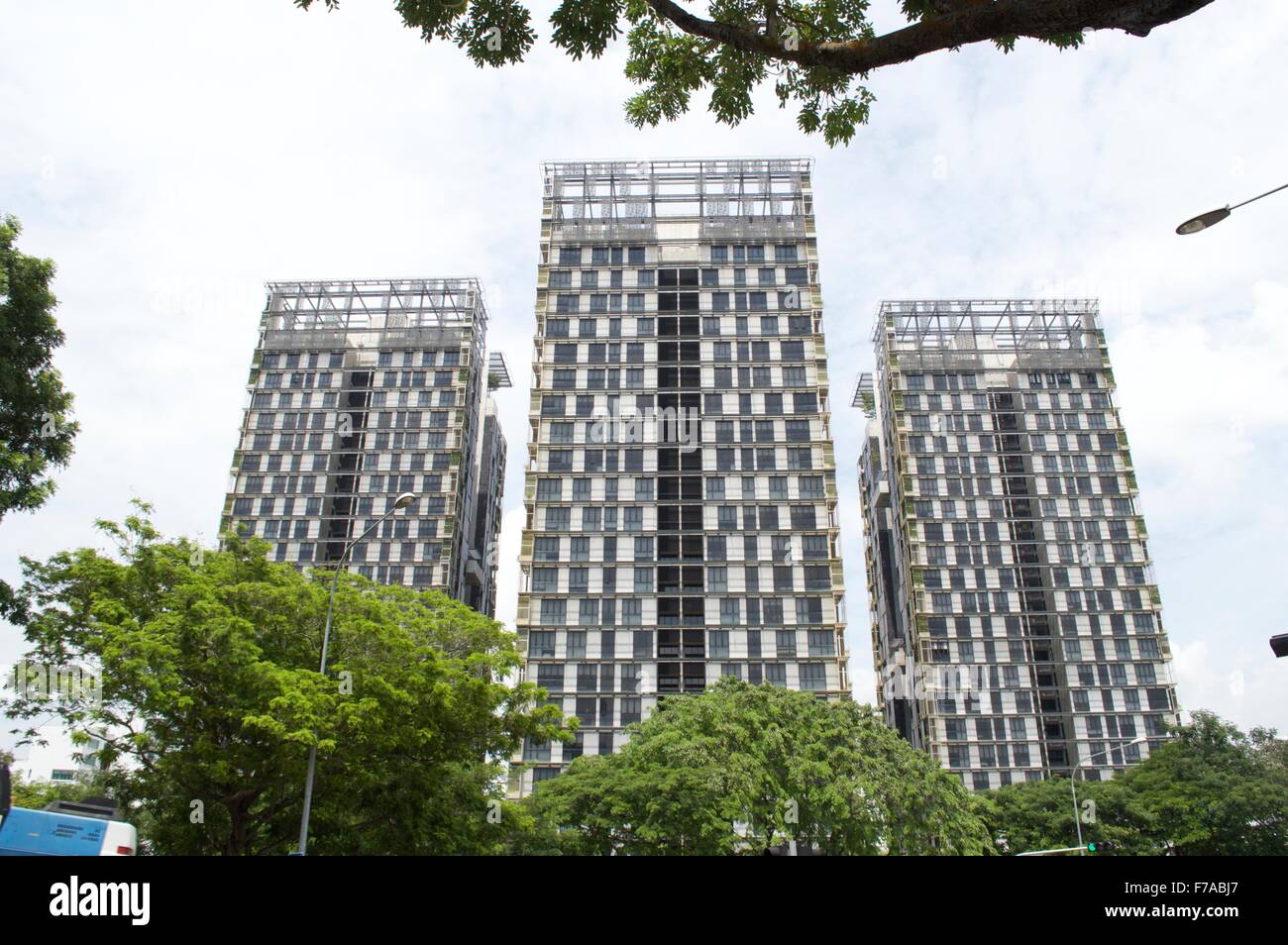 Triple skyscraper with covered greenery and blue sky background Stock ...