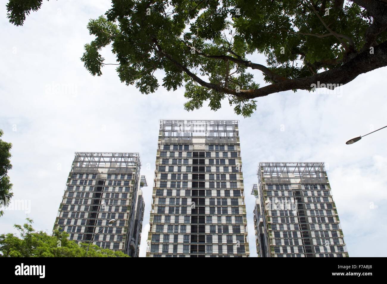 Triple skyscraper with covered greenery and blue sky background Stock ...