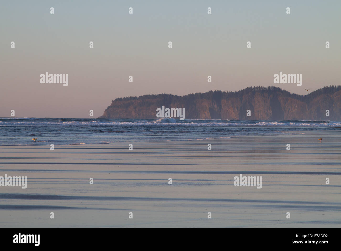 Tierra del mar oregon hi-res stock photography and images - Alamy