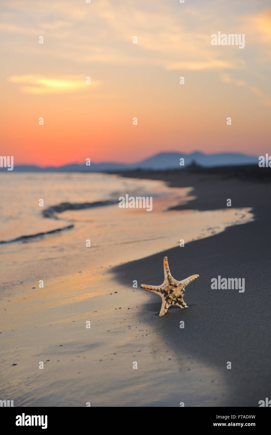 summer beach sunset with star on beach representing freedom freshnes ...