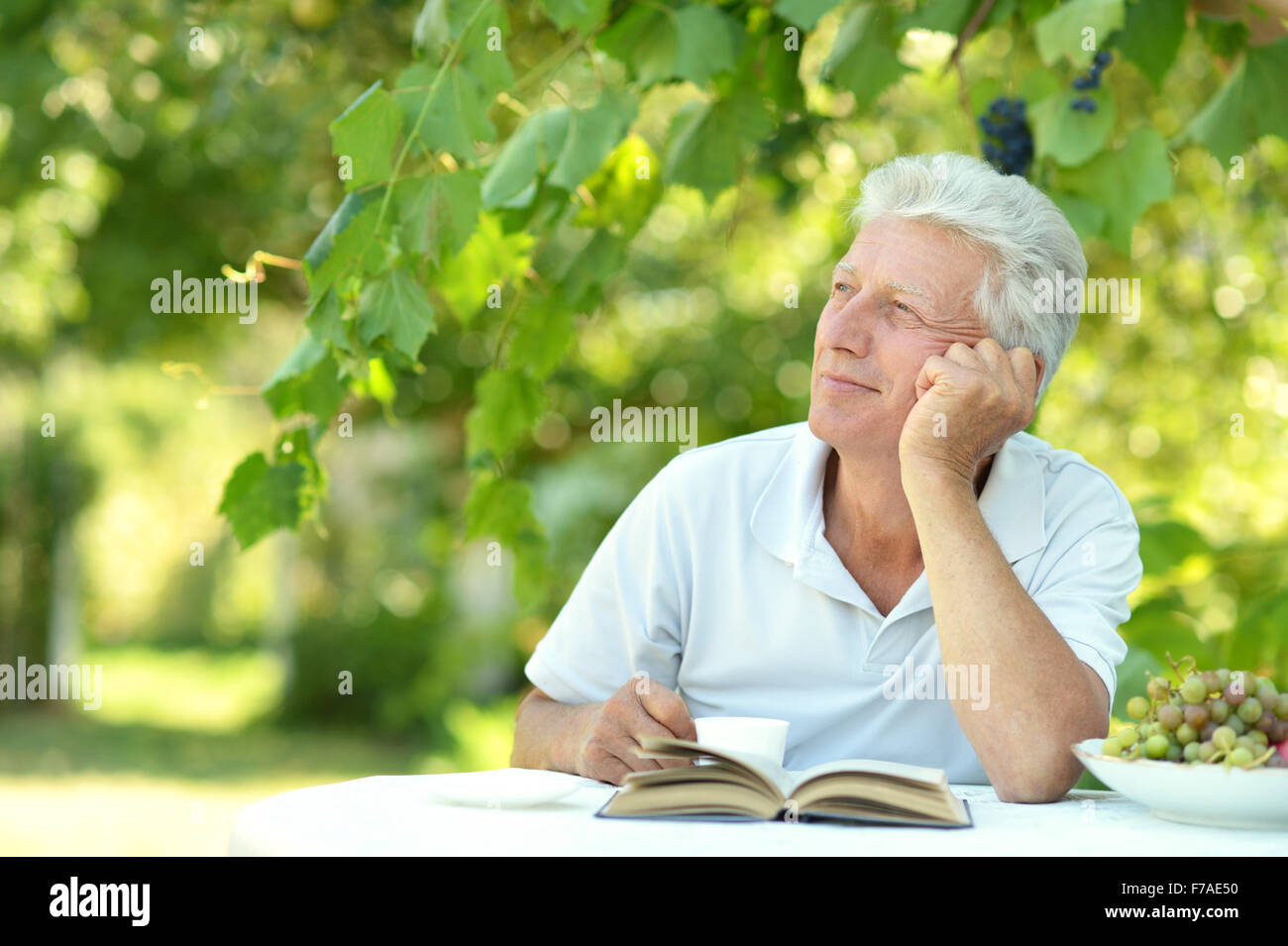Handsome older man Stock Photo - Alamy