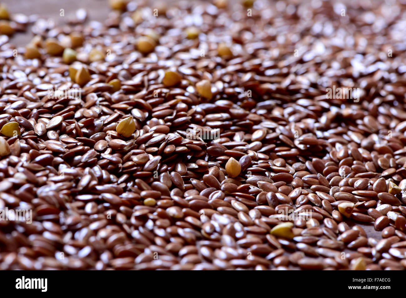Brown flaxseeds hi-res stock photography and images - Alamy