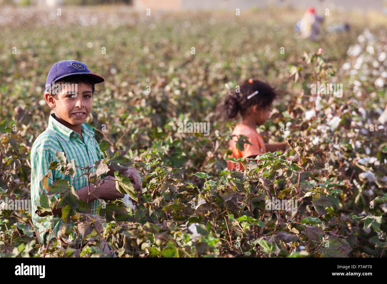 Child labor in agriculture hi-res stock photography and images - Alamy