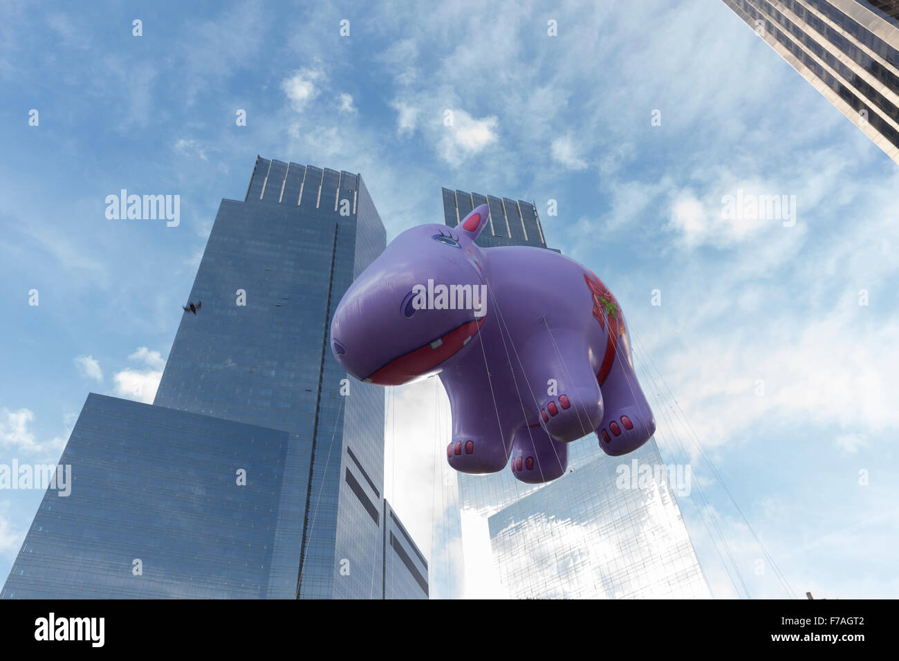 New York, NY USA - November 26, 2015: Giant Happy Hippo balloon flown ...