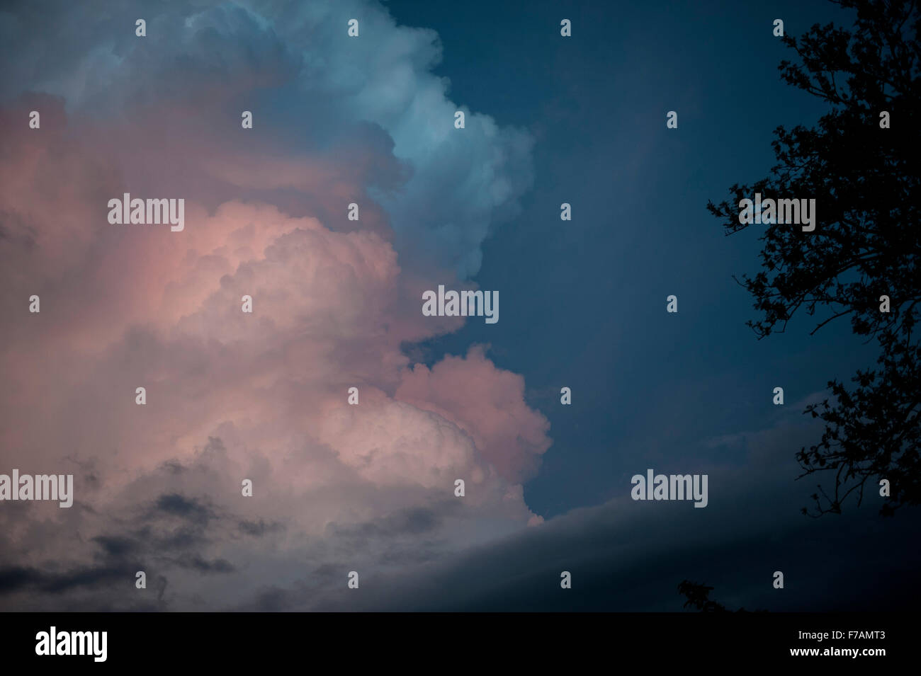 Extreme thunderstorm trees hi-res stock photography and images - Alamy