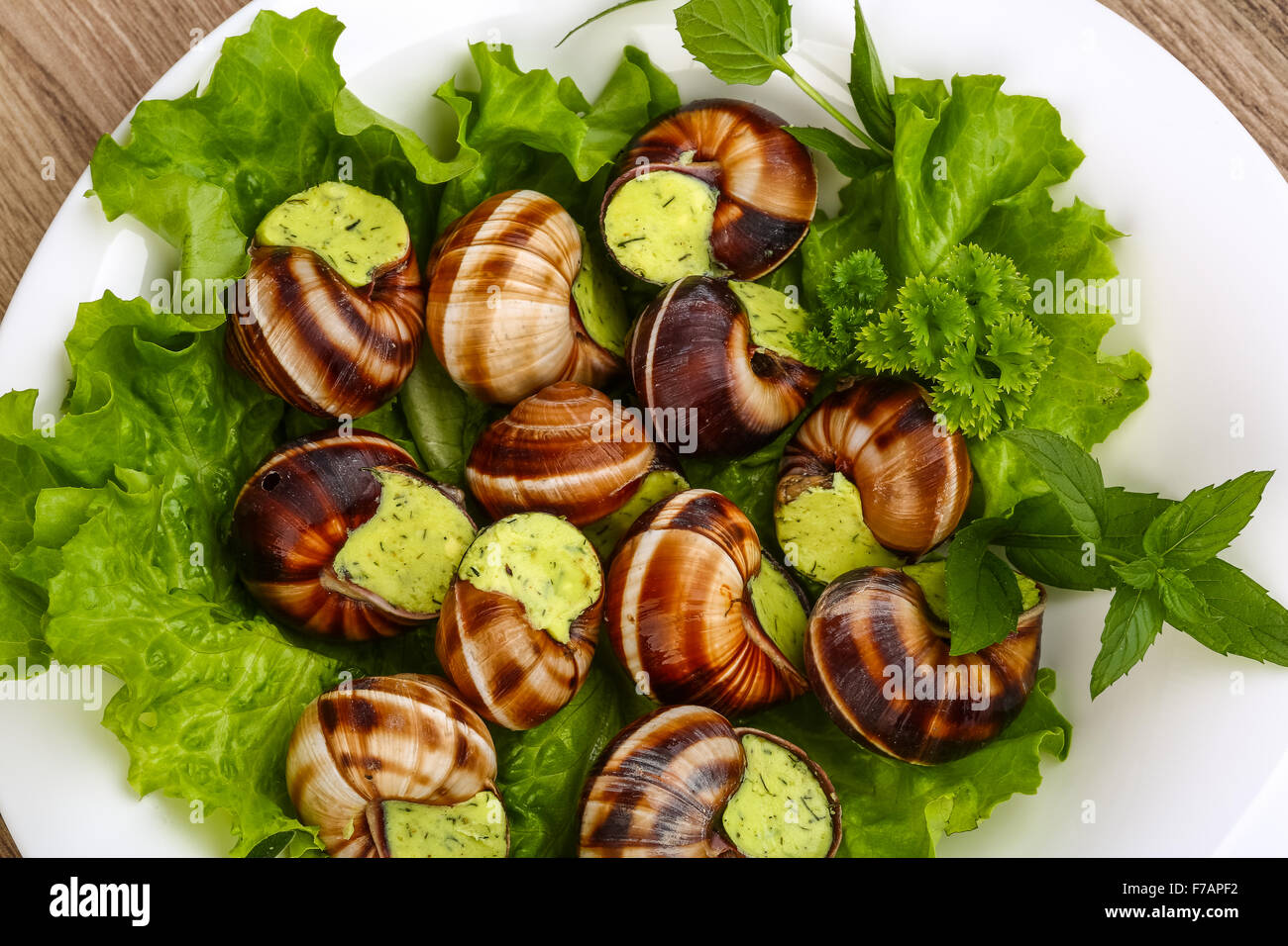 French cuisine - Escargot with butter, parsley and salat leaves Stock ...