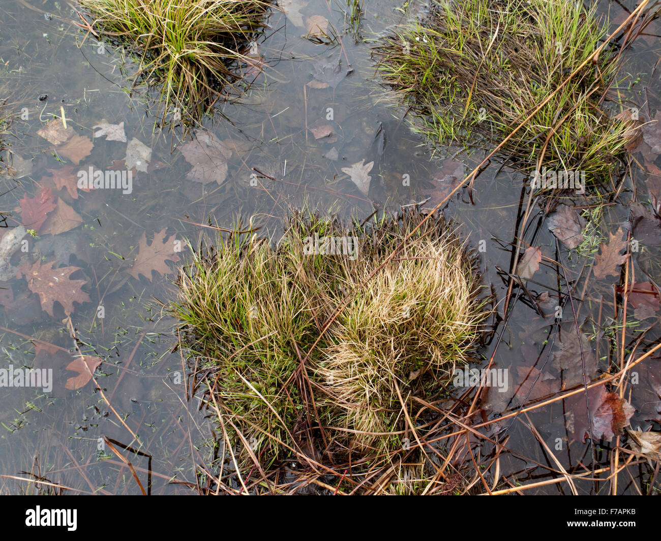 American water resources hi-res stock photography and images - Alamy