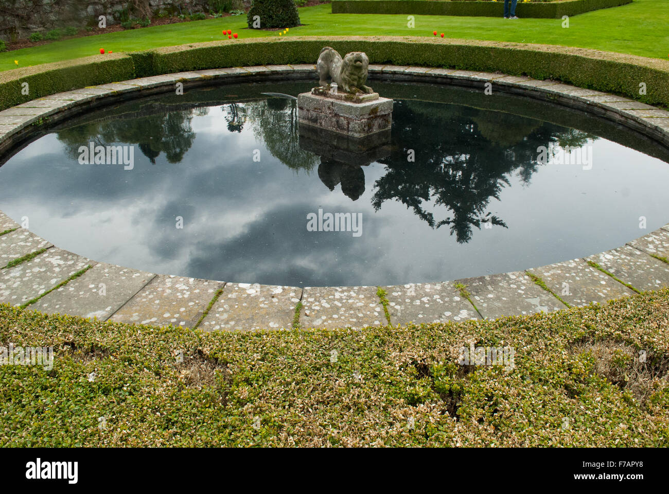 Rose gardens hi-res stock photography and images - Alamy