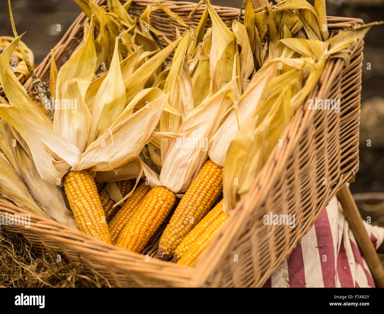 Sweetcorn market hi-res stock photography and images - Alamy