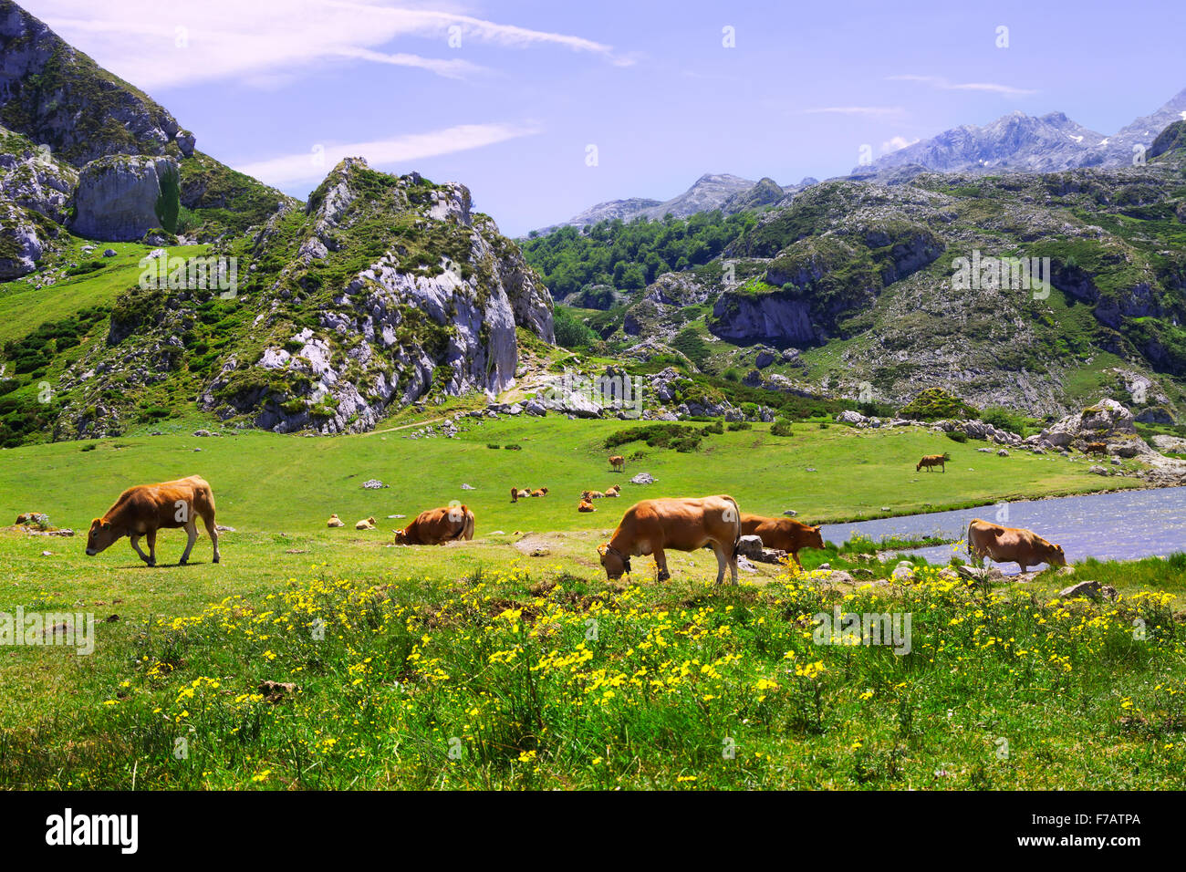 mountains landscape with lake and pasture. Asturias, Spain Stock Photo ...