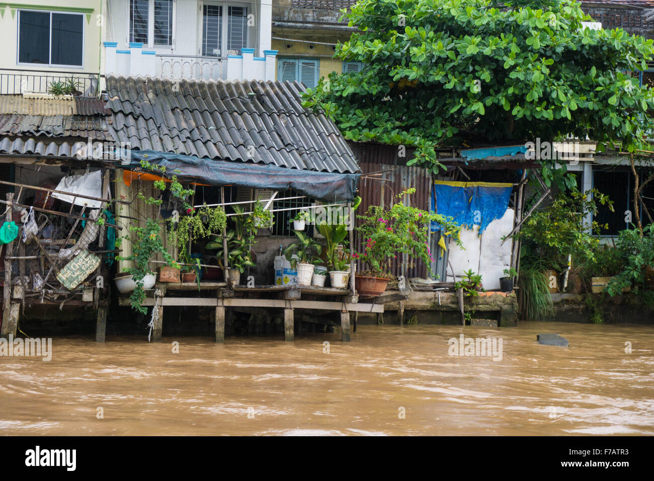 Mekong Delta, Vietnam: Typical view of houses along the river in Sa Dec ...