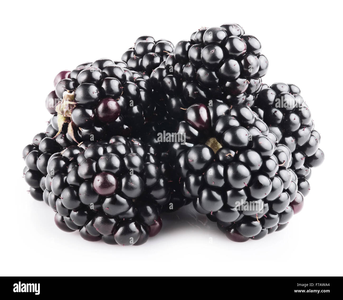 Blackberry fresh fruit hi-res stock photography and images - Alamy