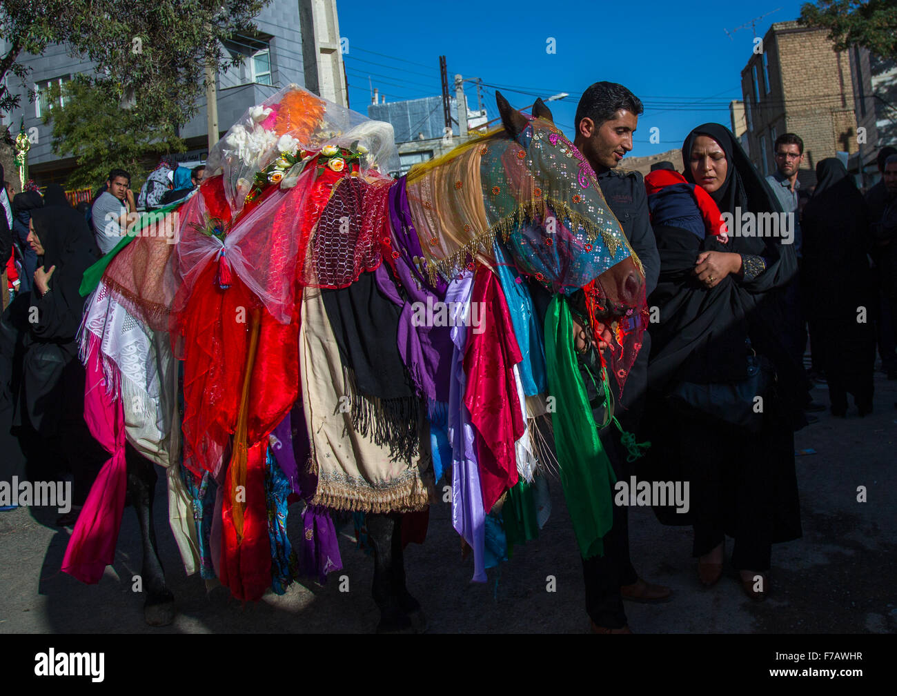 Horse Of Iman Hussein During The Parade Of Ashura Celebrations ...