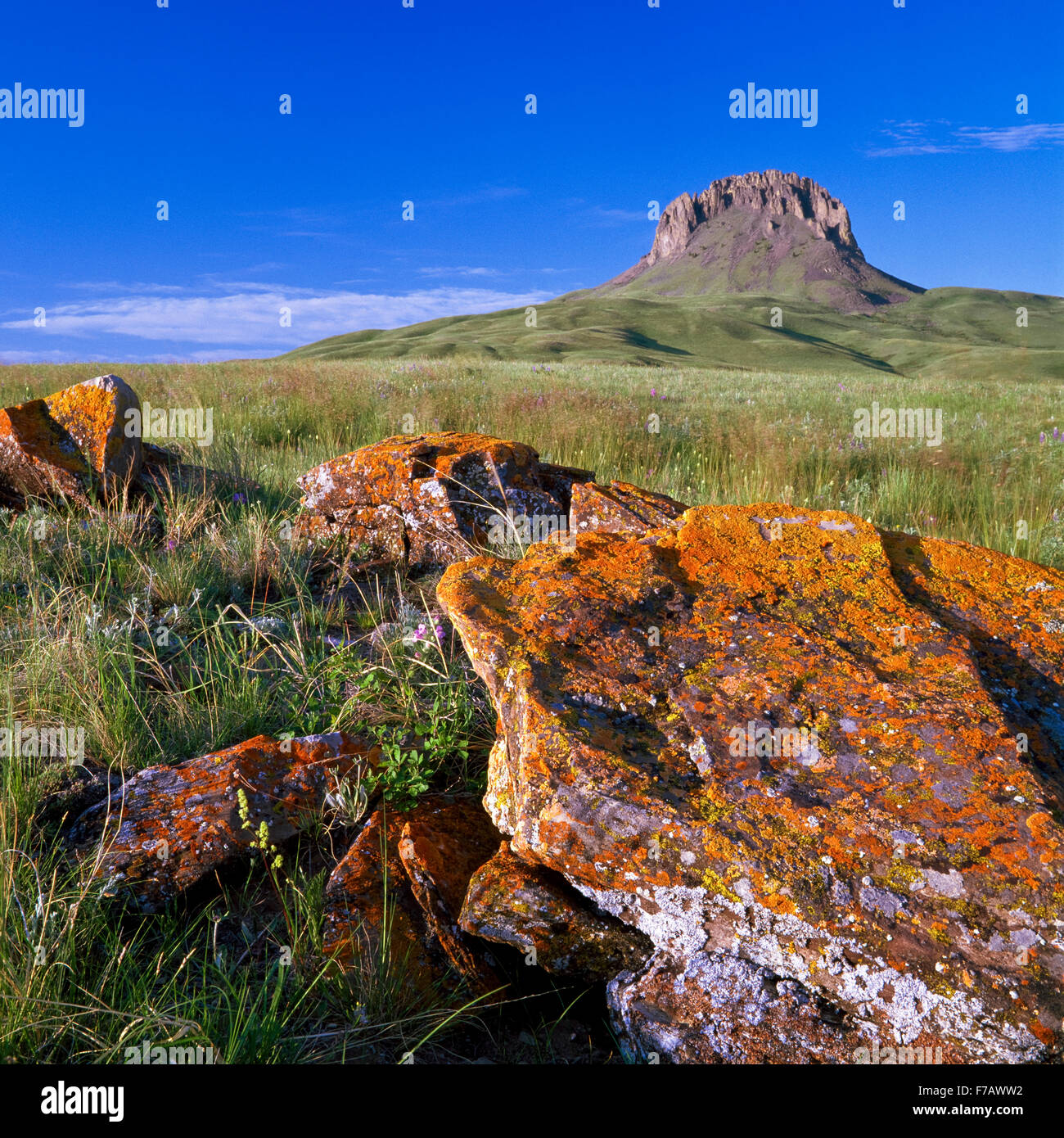 birdtail butte above the prairie and lichen-covered boulders near simms ...