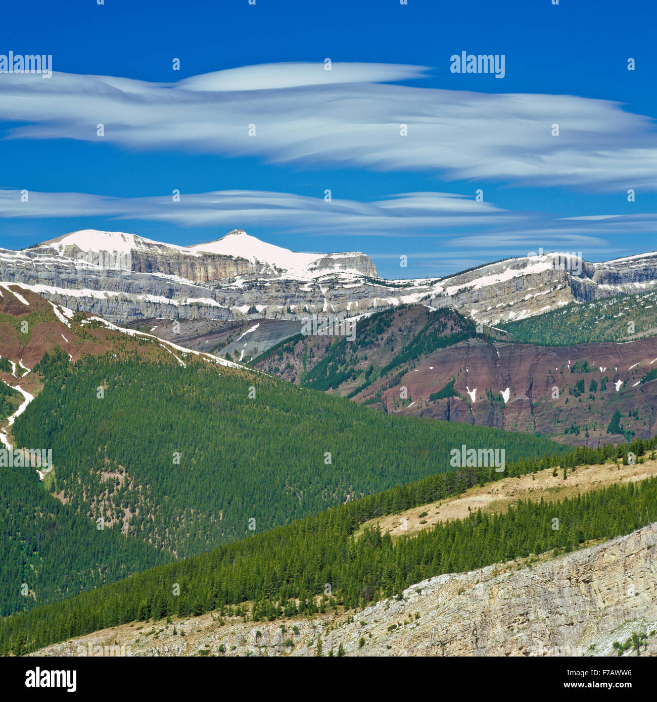 chinese wall below sphinx peak viewed from prairie reef in the bob ...
