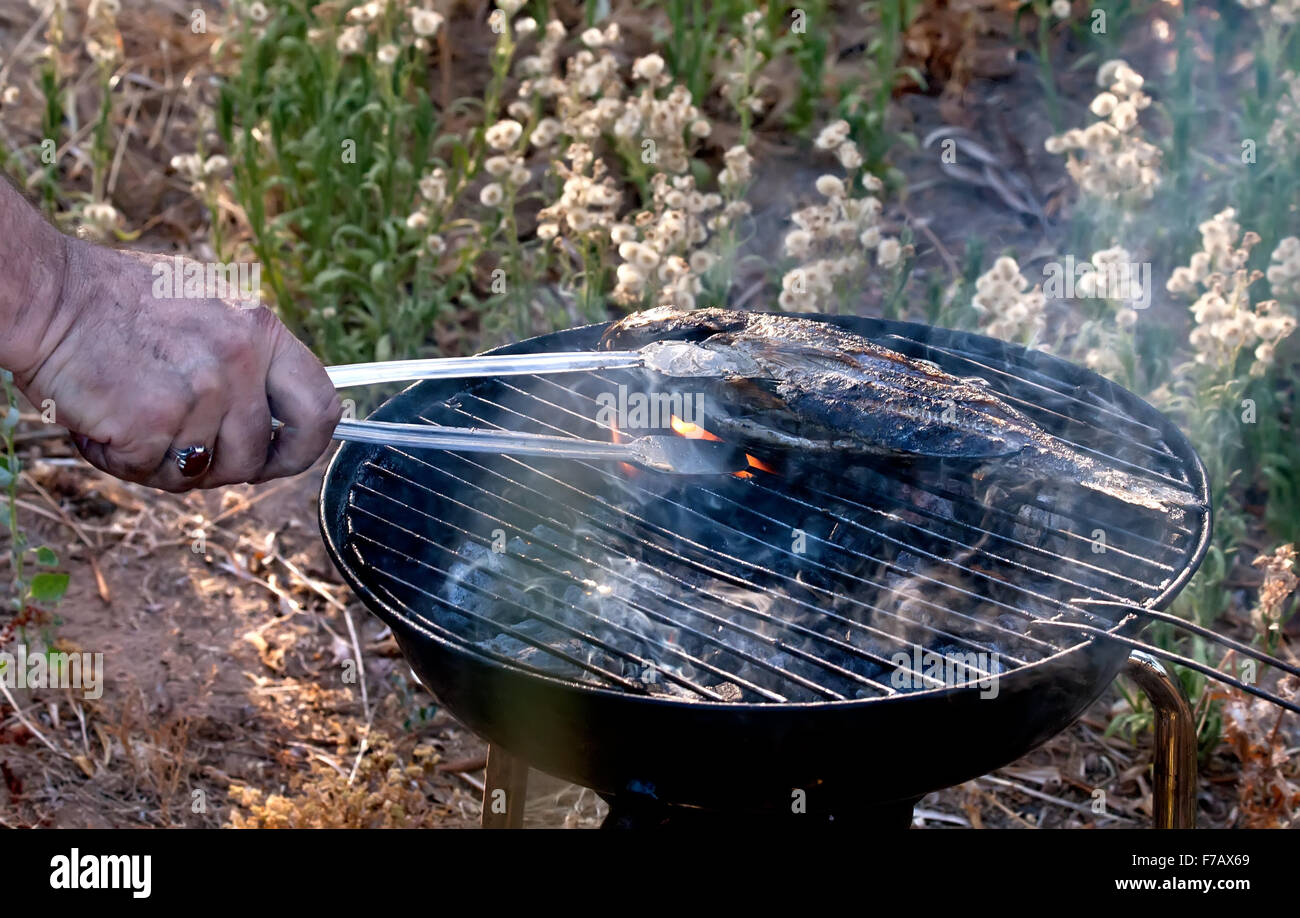 Picnic seabream hi-res stock photography and images - Alamy