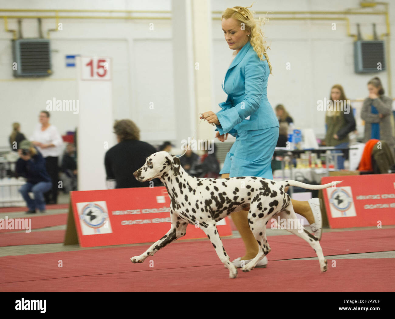 Zagreb, Croatia. 27th Nov, 2015. A woman and her Dalmatian dog compete ...