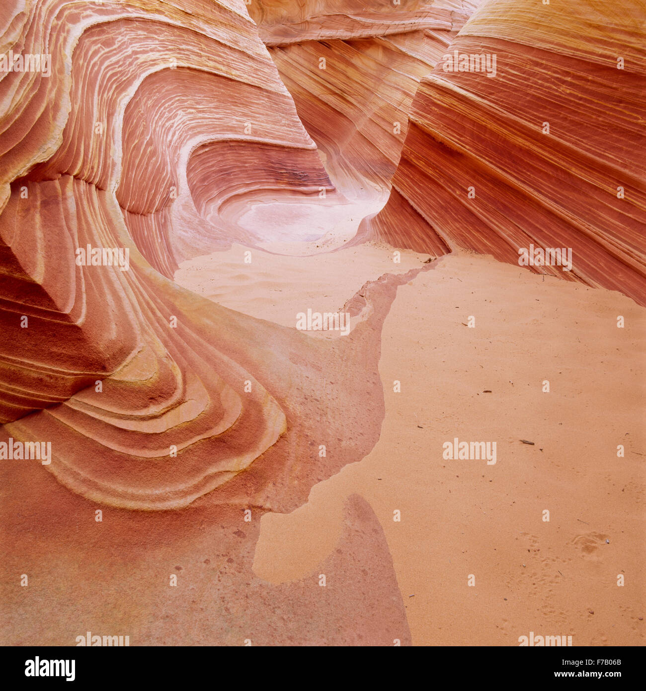 swirling sandstone narrows in the paria canyon-vermillion cliffs ...