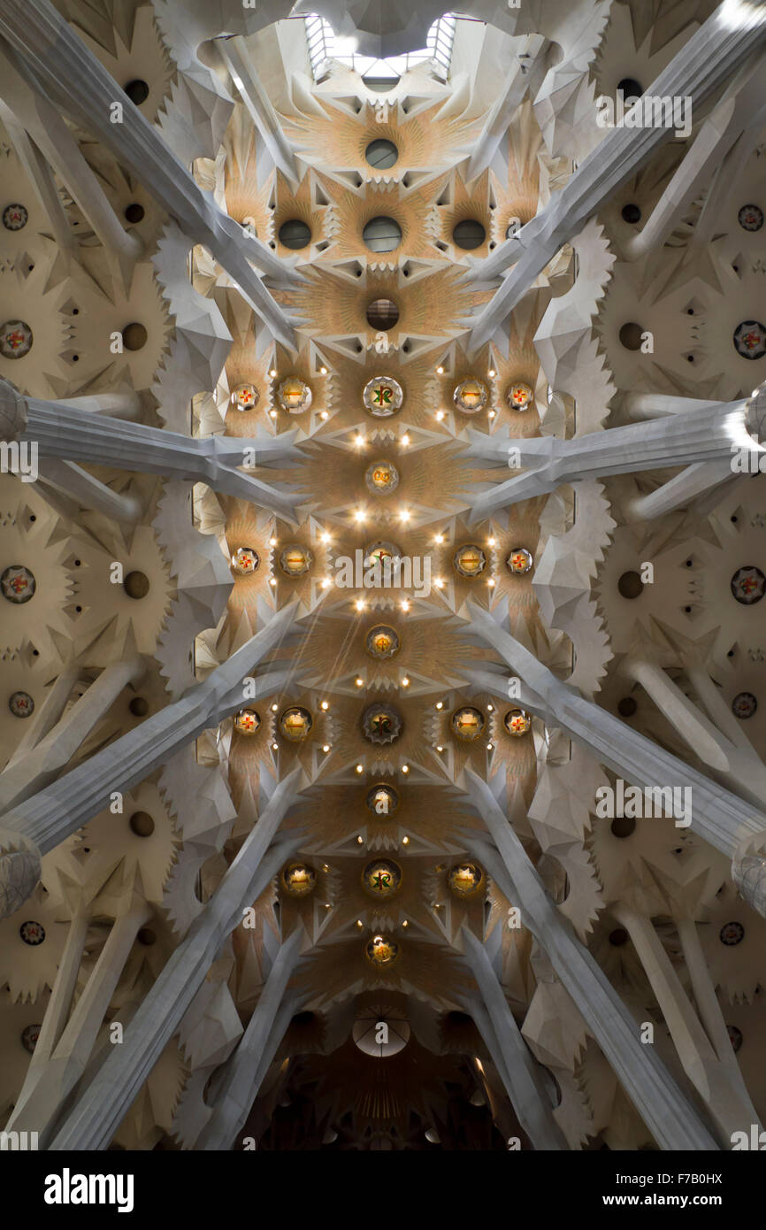 Bizarre church ceiling of Sagrada familia in Barcelona Stock Photo - Alamy