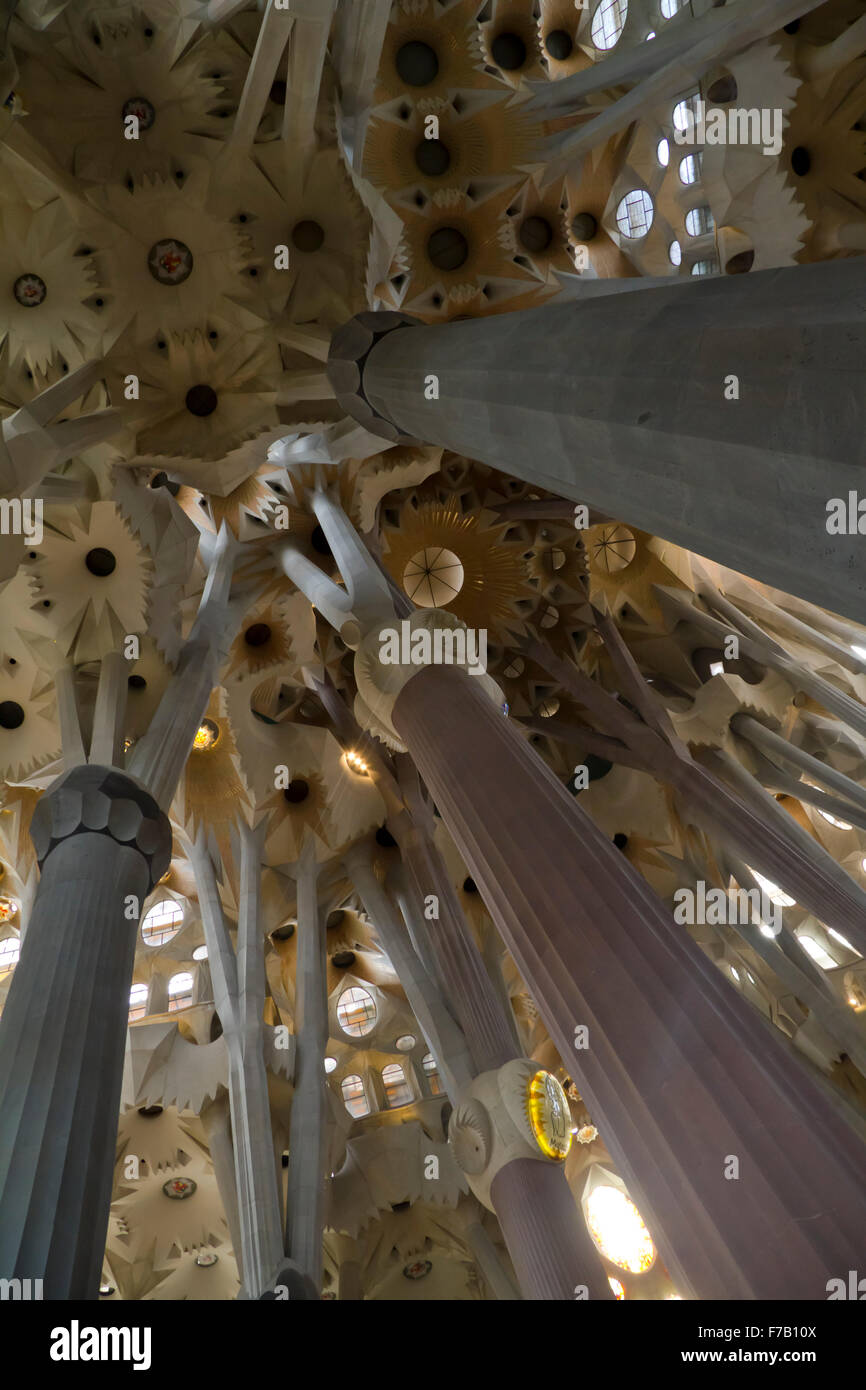 Bizarre church ceiling of Sagrada familia in Barcelona Stock Photo - Alamy