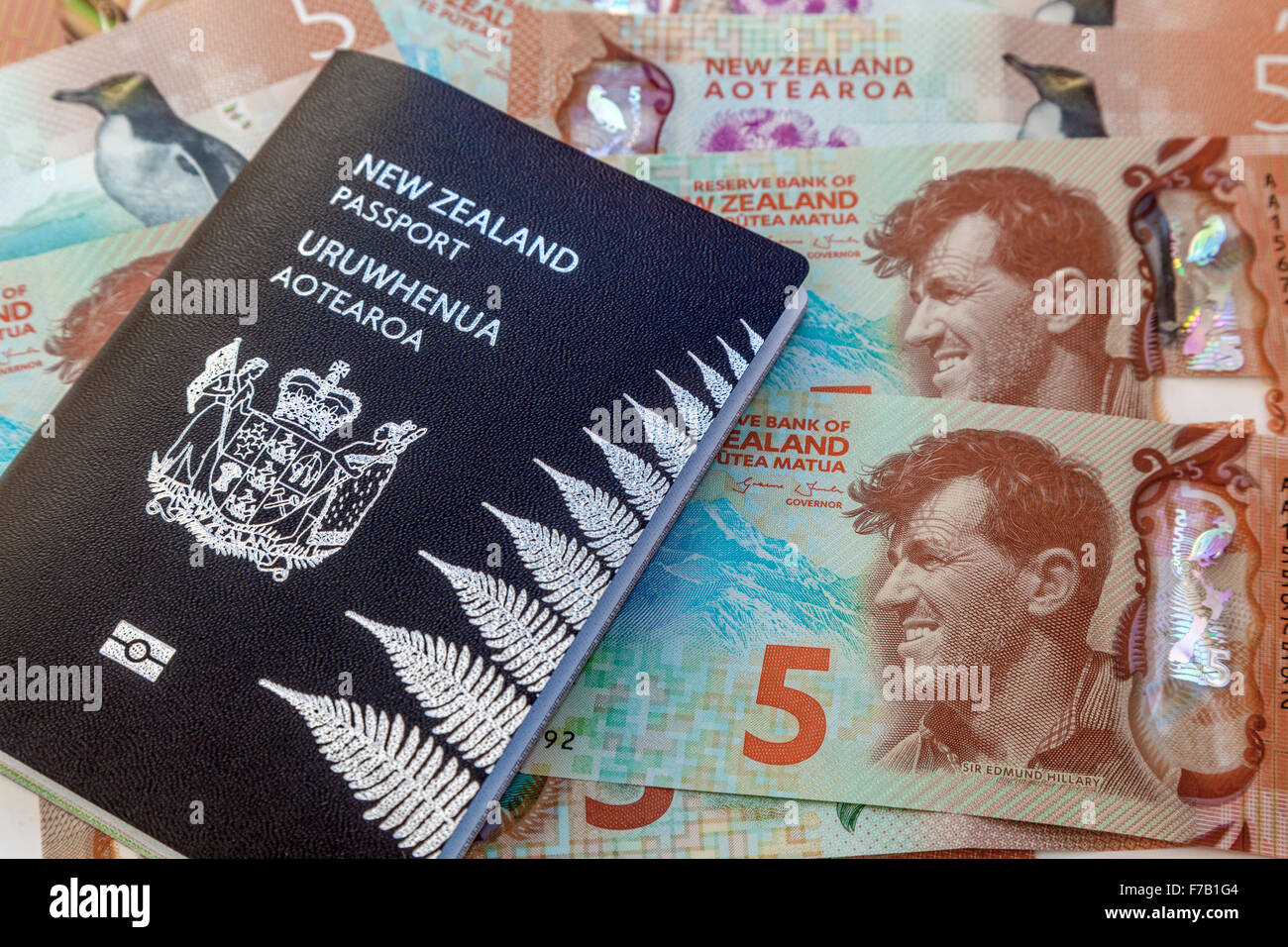New updated polymer five kiwi dollar $5 New Zealand bank notes NZD and ...