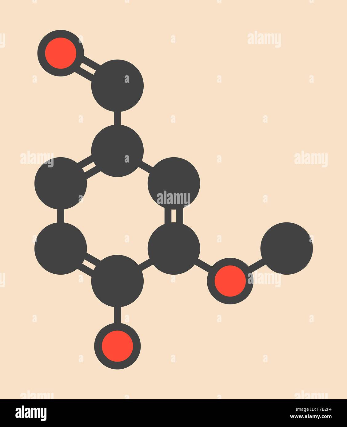 Vanillin vanilla extract molecule. Stylized skeletal formula (chemical ...