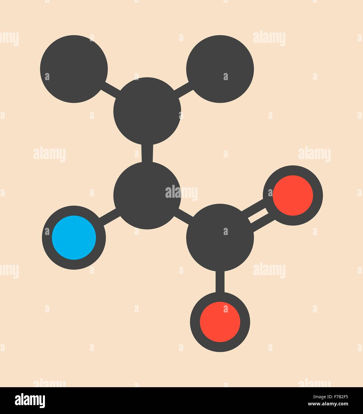 Valine val amino acid molecular hi-res stock photography and images - Alamy