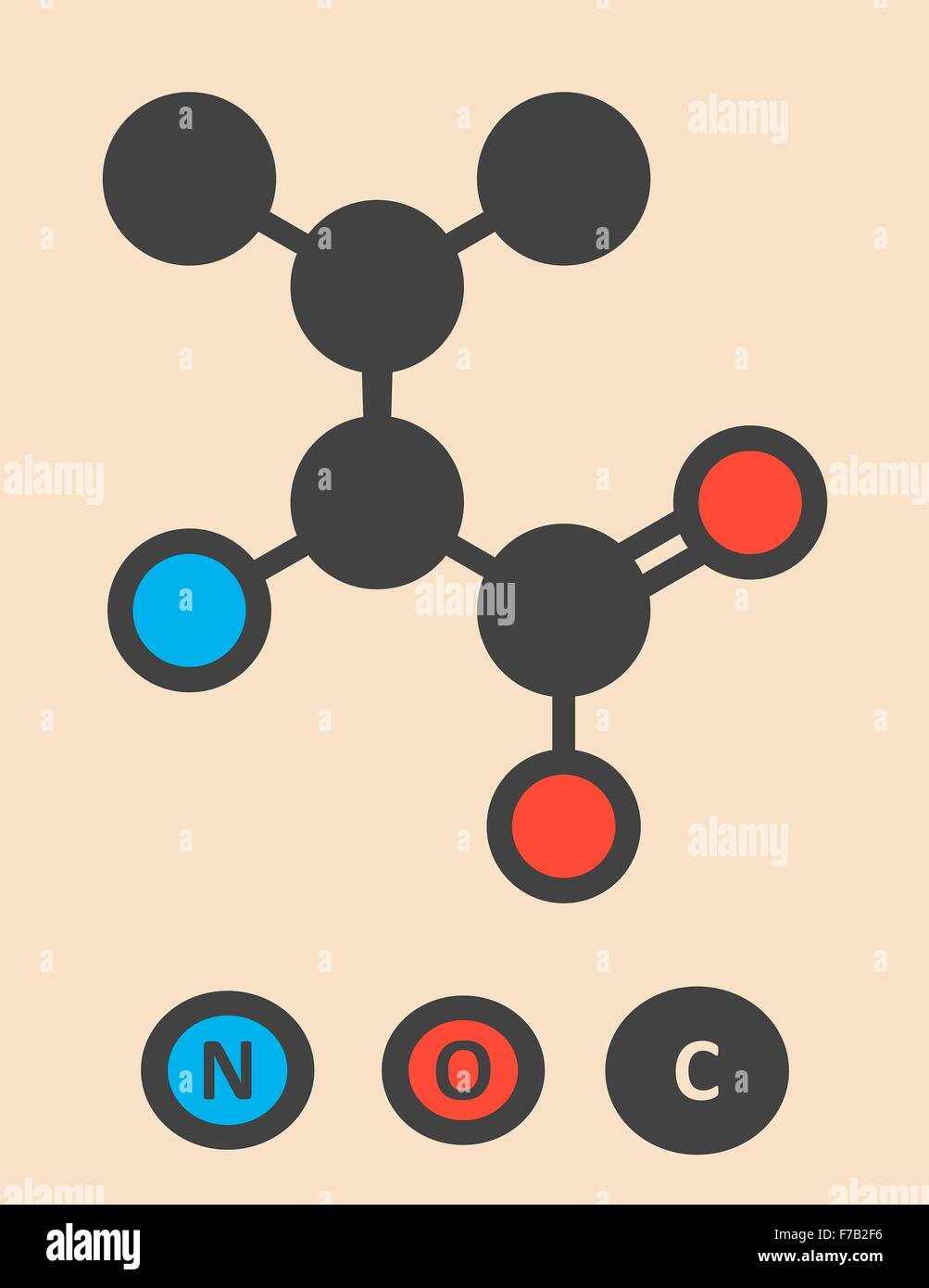 Branched chain amino acid hi-res stock photography and images - Alamy