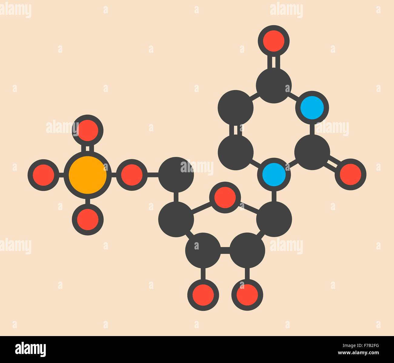 Uridine monophosphate (UMP, uridylic acid) nucleotide molecule ...