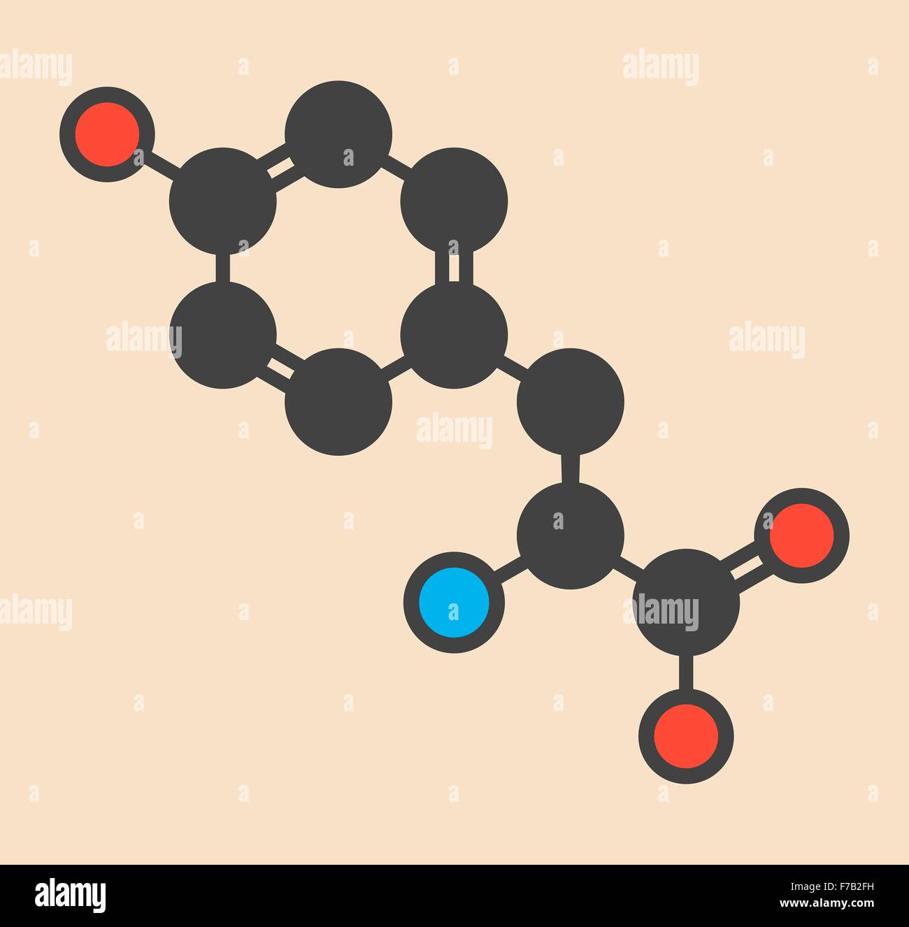 Tyrosine molecular structure skeletal hi-res stock photography and ...