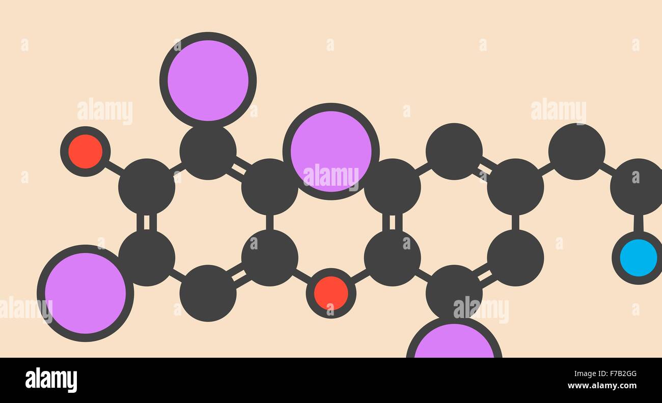 Thyroxine (T4, levothyroxine) thyroid hormone molecule. Prohormone of ...