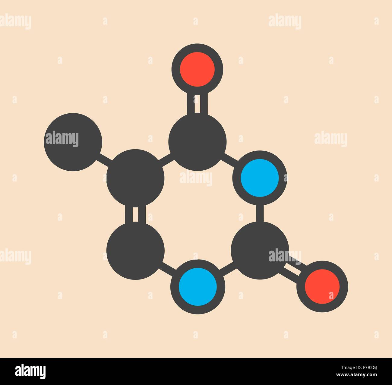 Thymine (T) nucleobase molecule. present in DNA. Stylized skeletal ...