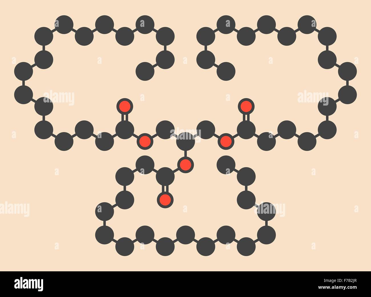 Stearin saturated fat molecule: triglyceride composed of glycerol and 3 ... Stearin saturated fat molecule: triglyceride composed of glycerol and 3 ...