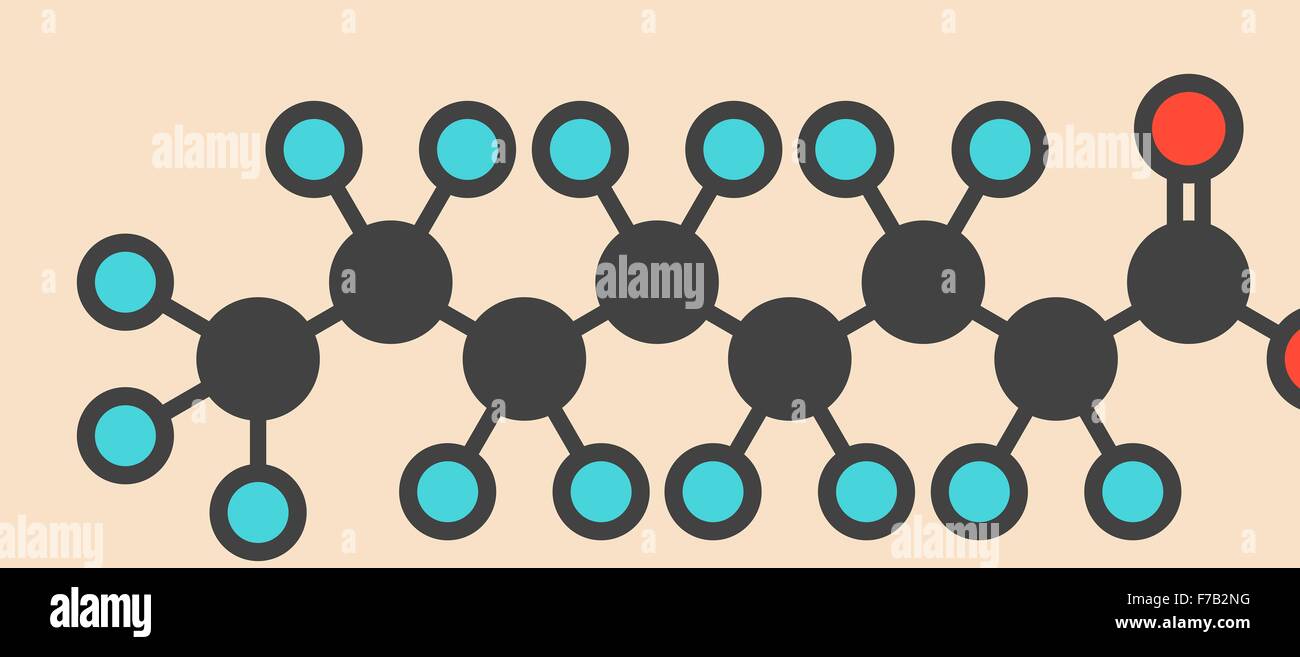 Perfluorooctanoic acid (PFOA, C8) molecule. Important and persistent ...