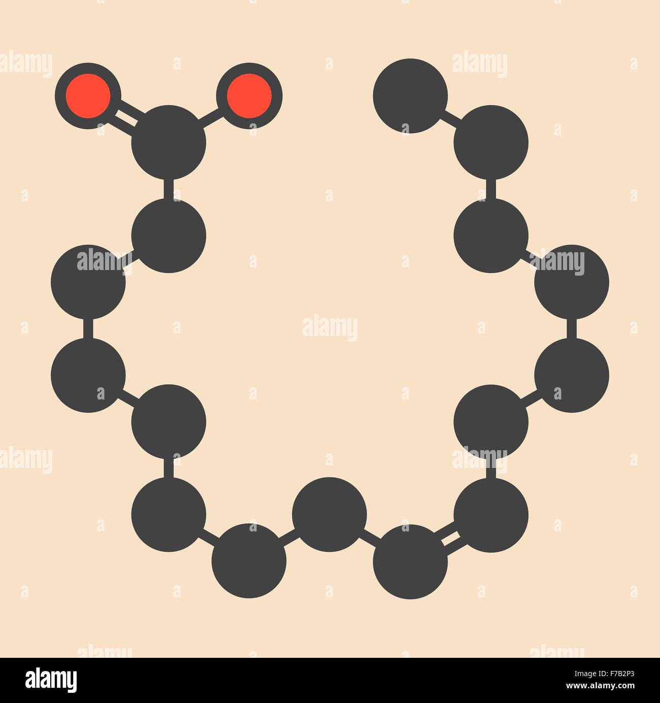 Palmitoleic acid (omega-7) fatty acid molecule. Stylized skeletal ...