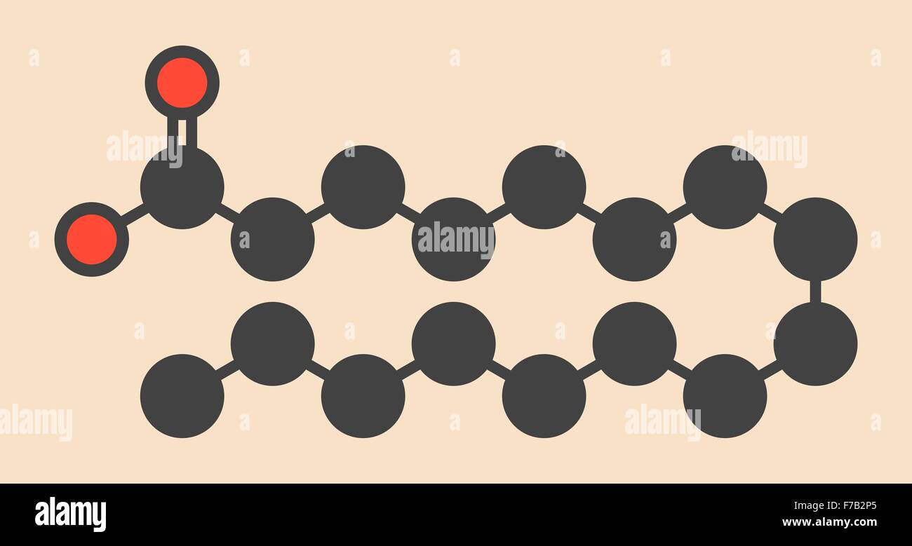 Palmitic (hexadecanoic) acid saturated fatty acid molecule. Stylized ...