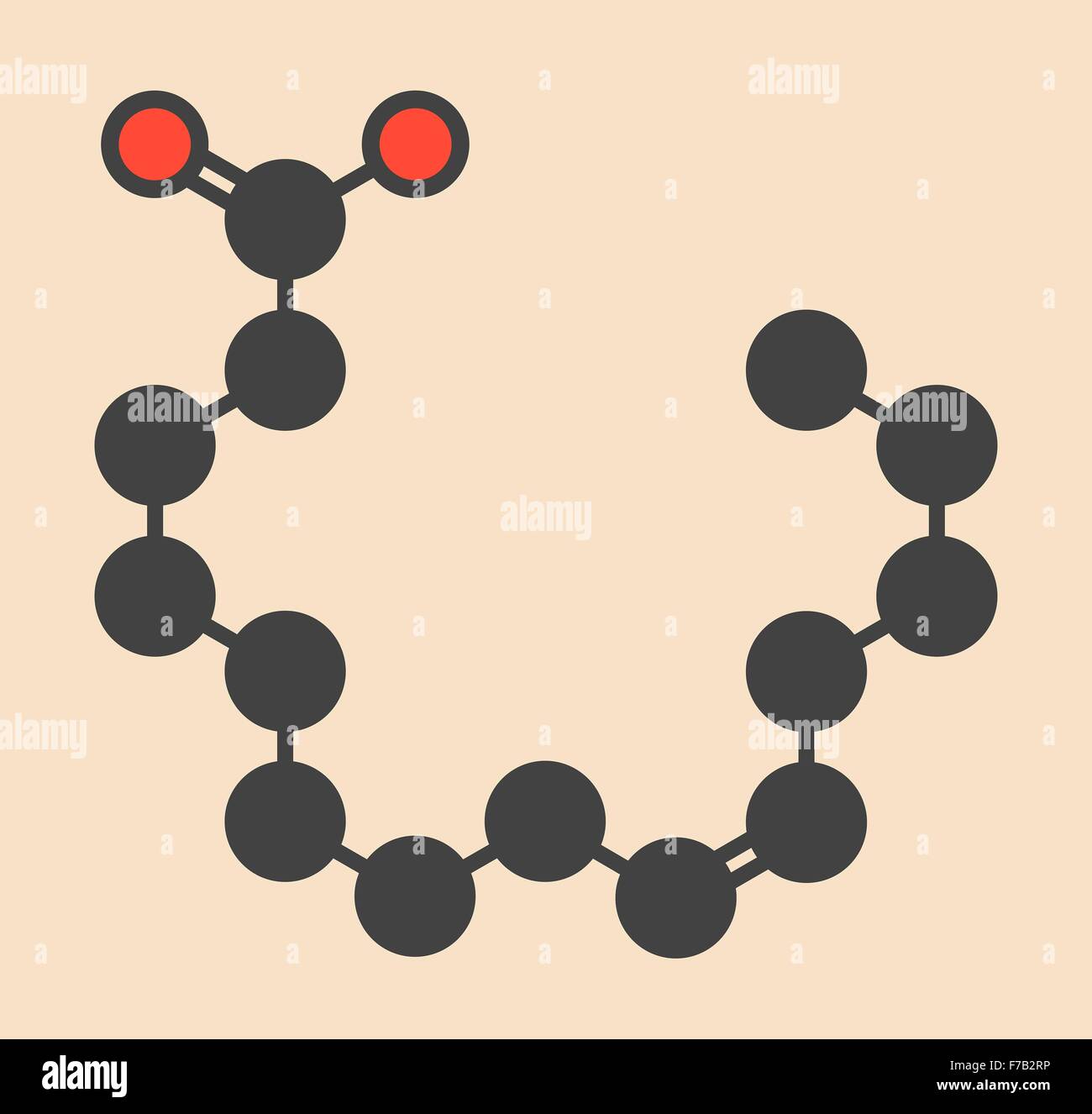 Myristoleic acid (omega-5) fatty acid molecule. Stylized skeletal ...