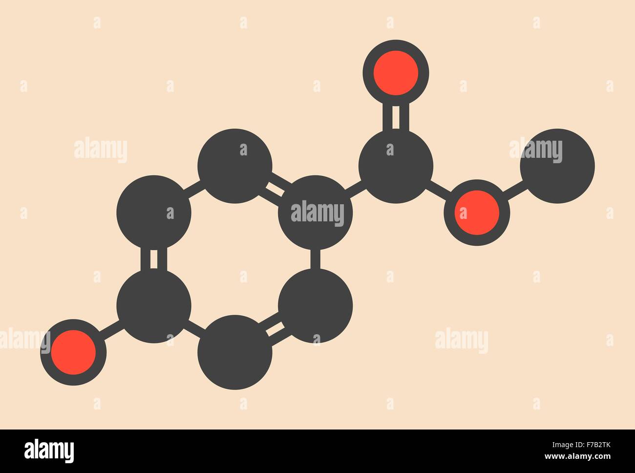 Methyl paraben preservative molecule. Stylized skeletal formula ...