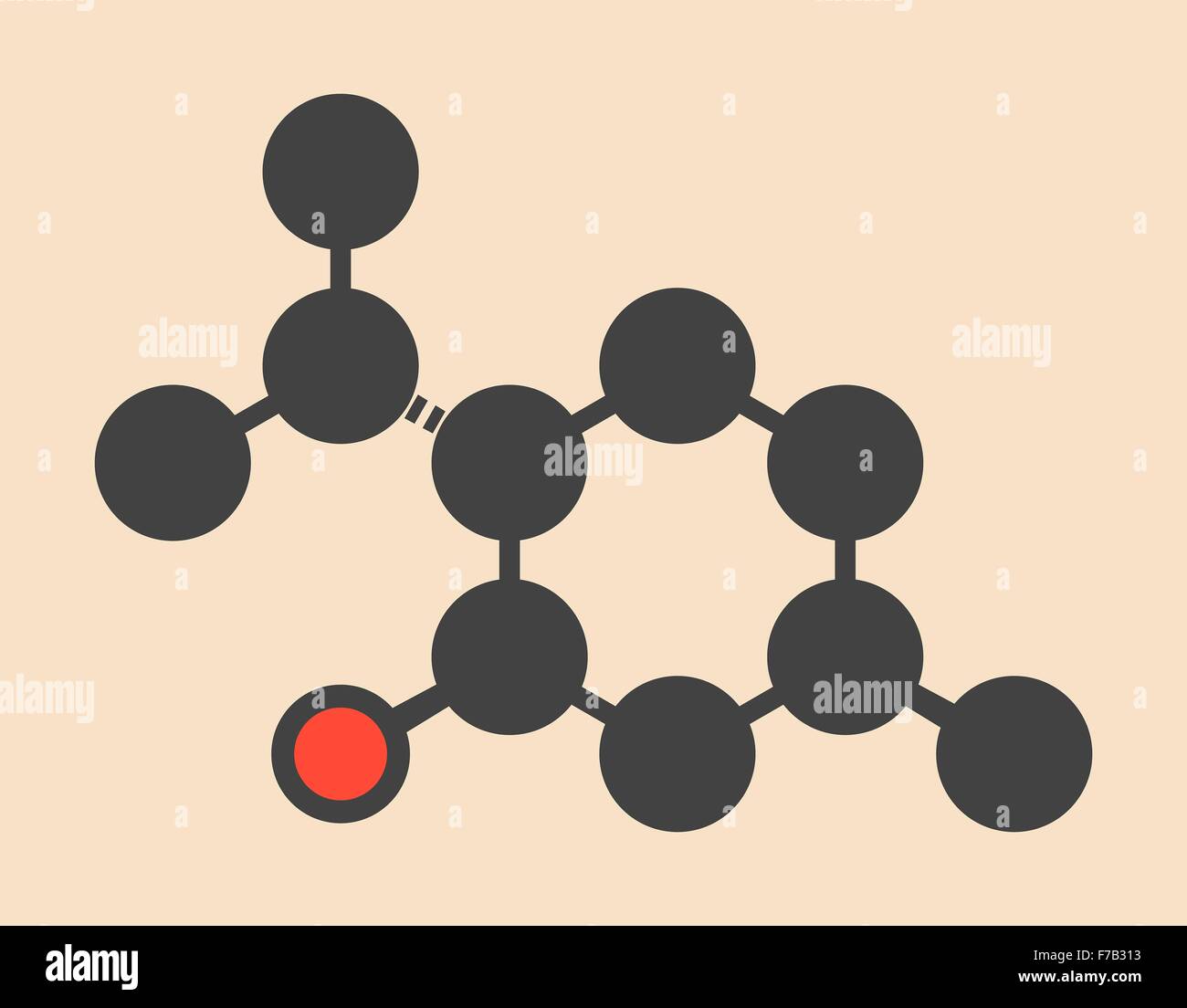 Menthol molecule. Present in peppermint, corn mints, etc. Stylized ...