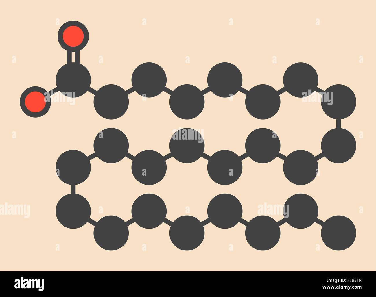 Lignoceric (tetracosanoic) acid molecule. Saturated fatty acid ...