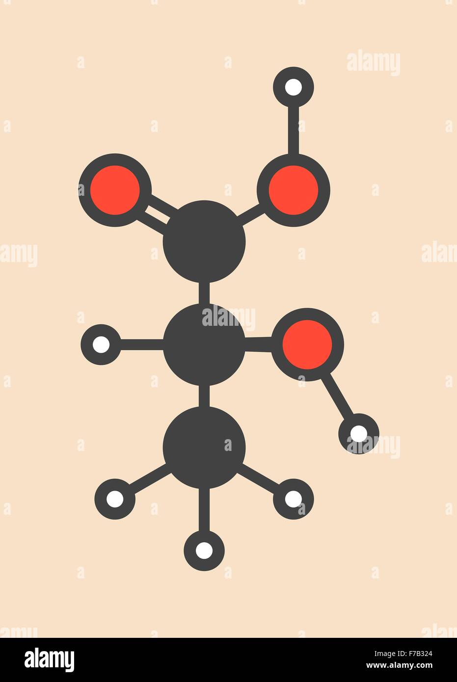 Polylactic High Resolution Stock Photography and Images - Alamy