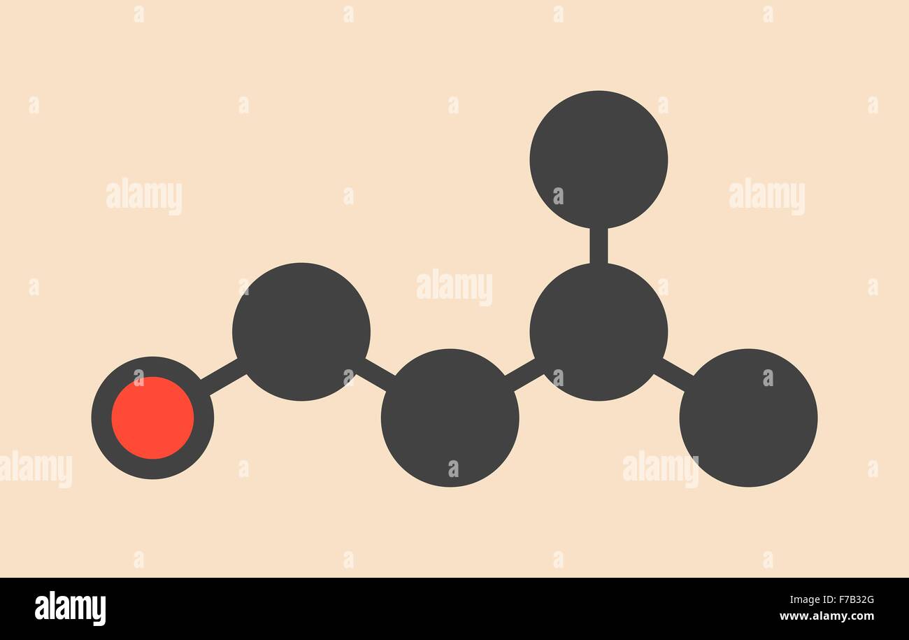 Isoamyl alcohol molecule. Stylized skeletal formula (chemical structure ...