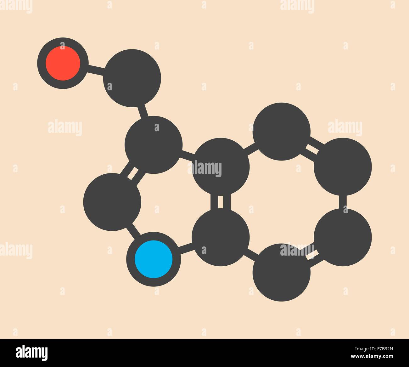Indole-3-carbinole (I3C) cruciferous vegetable molecule. Present in ...