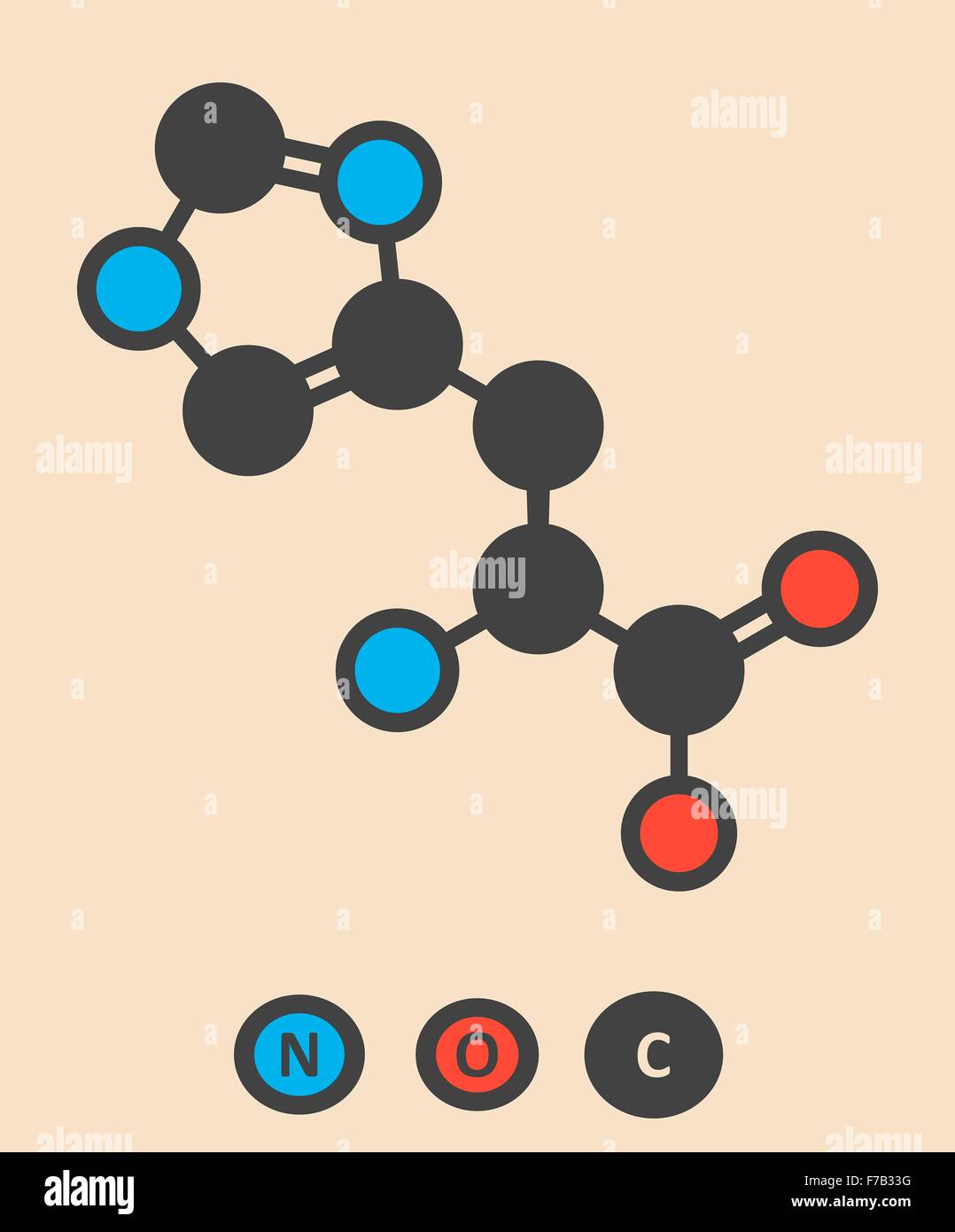 Histidine (l-histidine, his, H) amino acid molecule. Stylized skeletal ...
