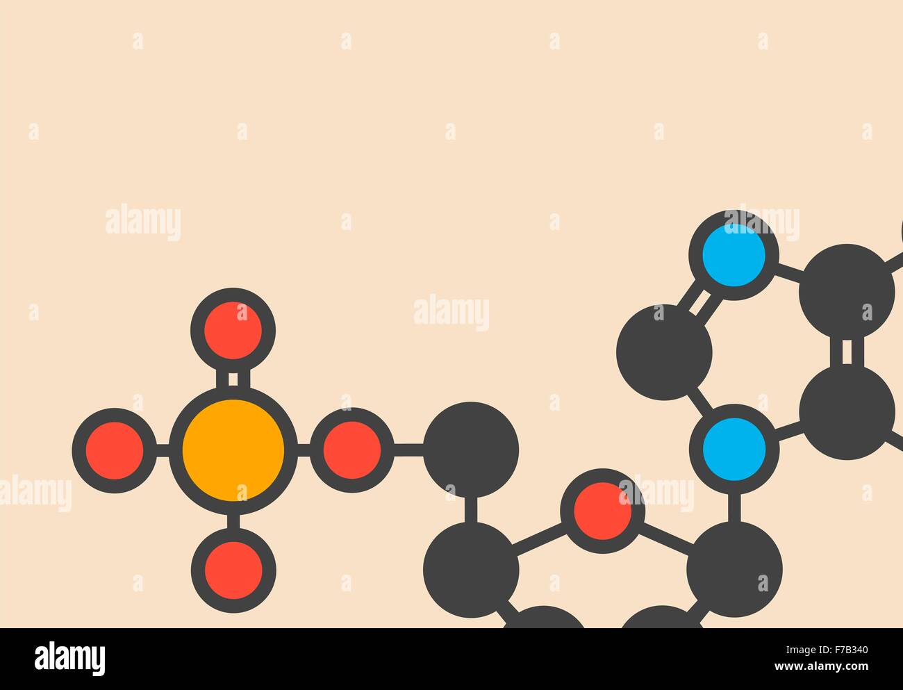 Guanosine monophosphate (GMP, guanylic acid) RNA building block ...
