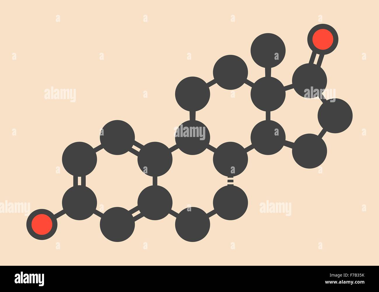 Estrone (oestrone) human estrogen hormone molecule. Stylized skeletal ...