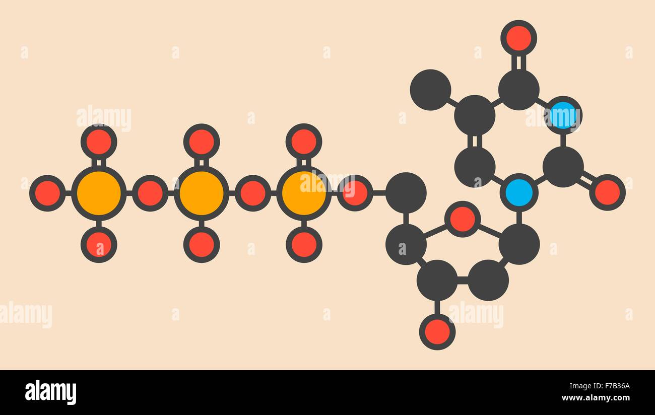 Dttp hi-res stock photography and images - Alamy